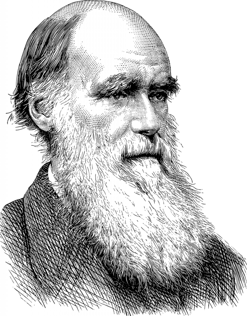 11 Famous Beards Throughout History: Iconic Facial Hair - The Old Timey